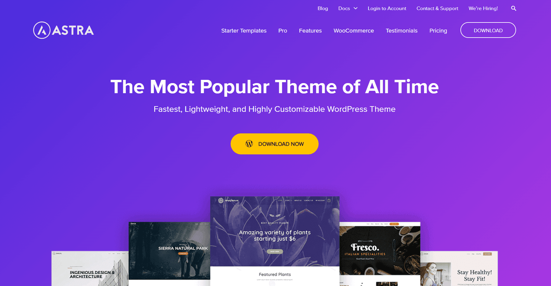Top 5 Elementor Themes To Use For Any WordPress Website