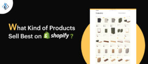 What Sells Best on Shopify? Trending Niches & Data